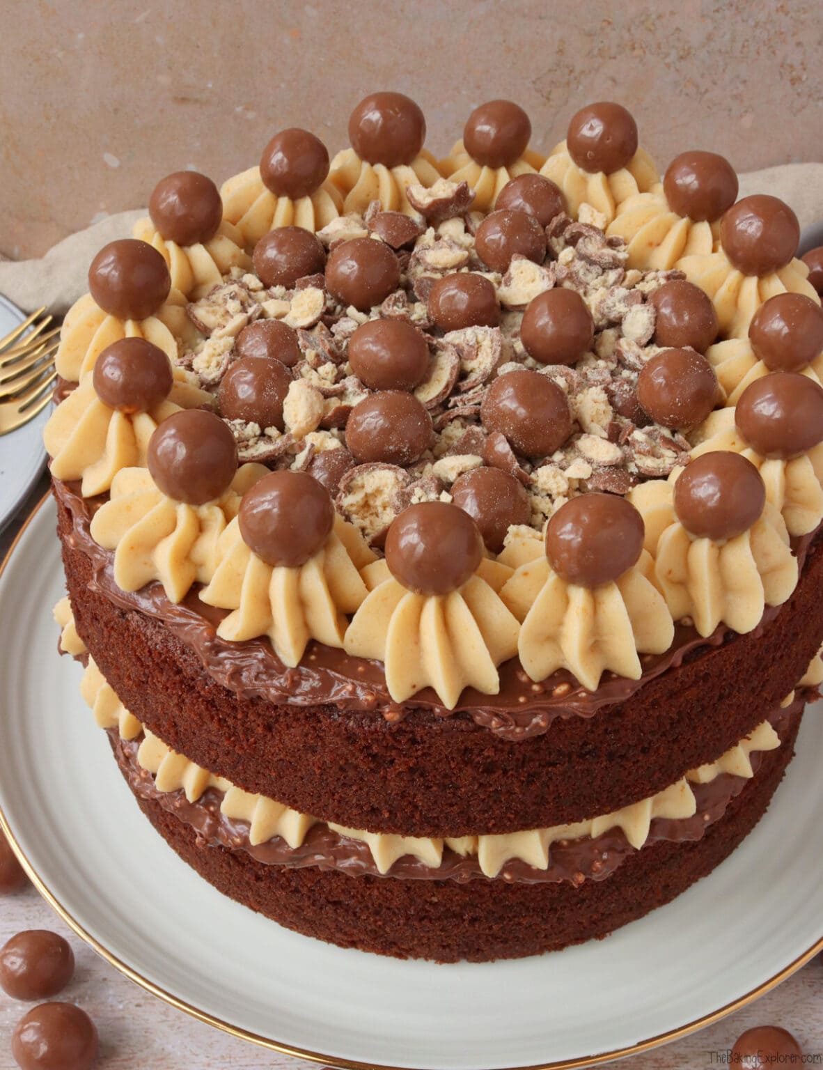 Maltesers Cake - The Baking Explorer