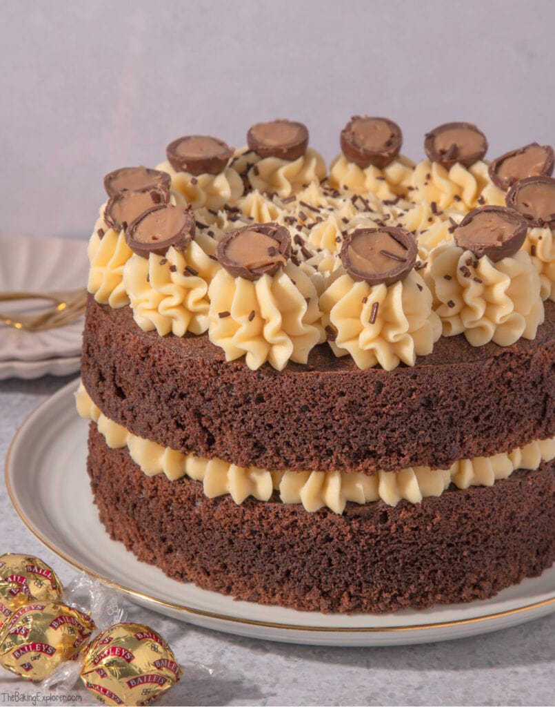 Baileys Chocolate Cake The Baking Explorer baileys-chocolate-cake-the-baking-explorer