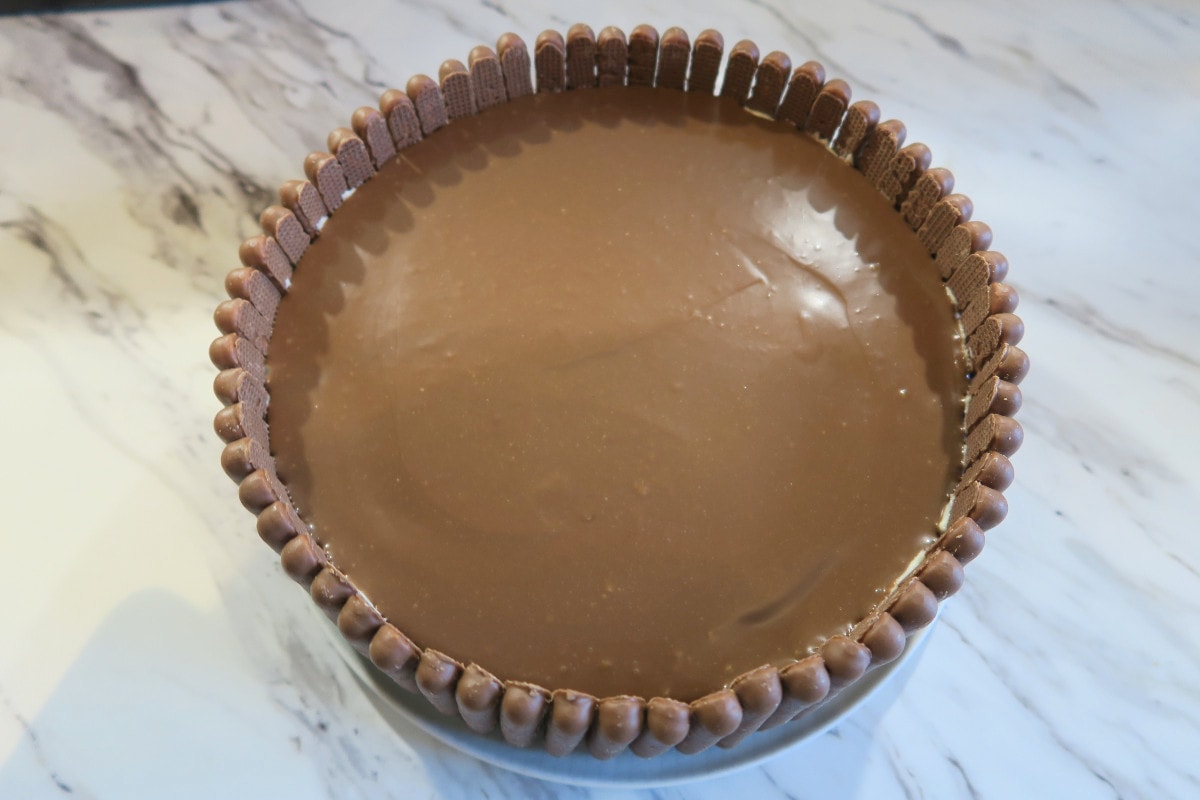 Chocolate Fingers Cheesecake (No Bake) - The Baking Explorer