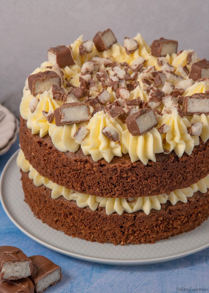 Bounty Chocolate & Coconut Cake - The Baking Explorer